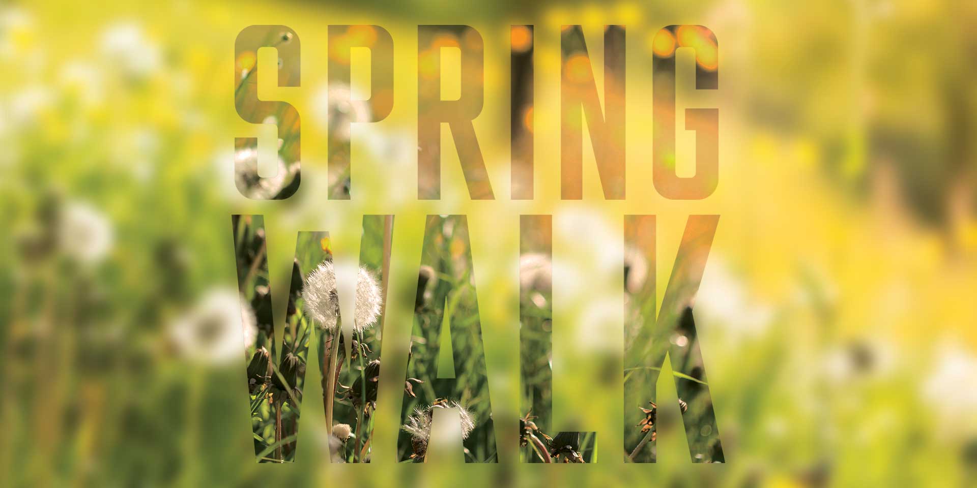 Walk_web_spring – St Peter's Barge